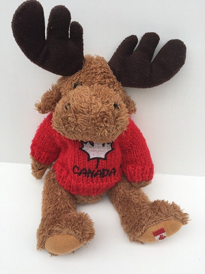 25+ Best Canadian Souvenirs To Take Home - Give The Perfect Gift!